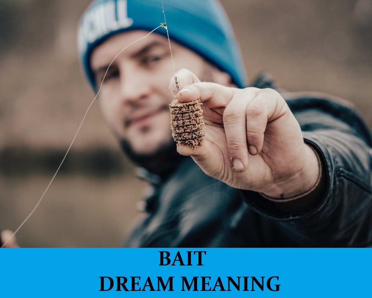 Bait Dream Meaning Top 8 Dreams About Bait Dream Meaning Net Bait Dream Meaning Top 8 Dreams About Bait Dream Meaning Net