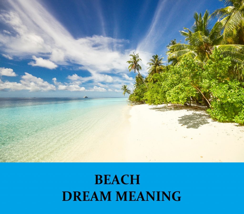 Beach Dream Meaning - Top 22 Dreams About Beaches : Dream Meaning Net