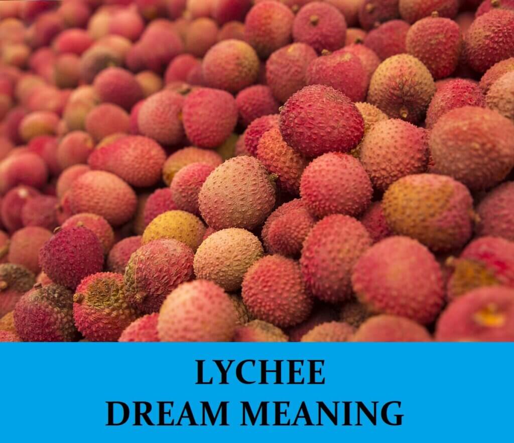 Lychee Dream Meaning - Top 6 Dreams About Lychee : Dream Meaning Net