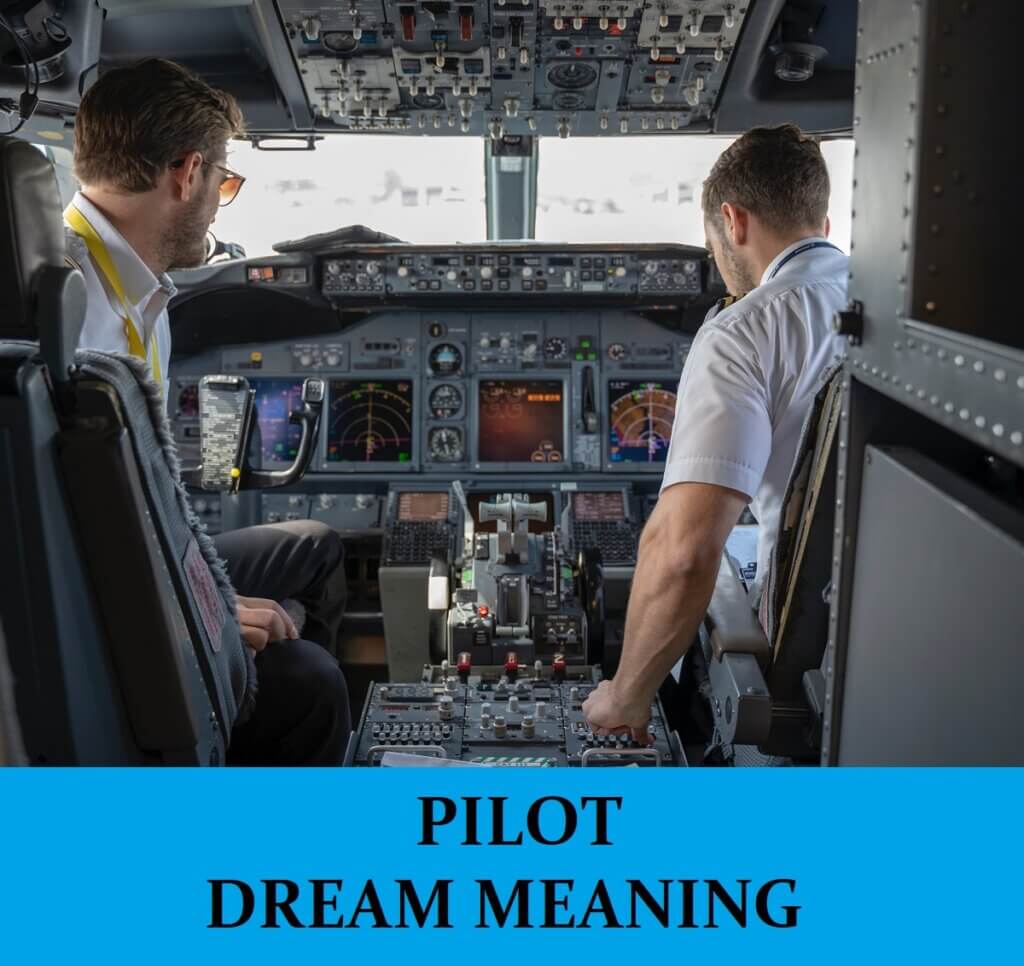 Pilot Dream Meaning - Top 10 Dreams About Pilot : Dream Meaning Net